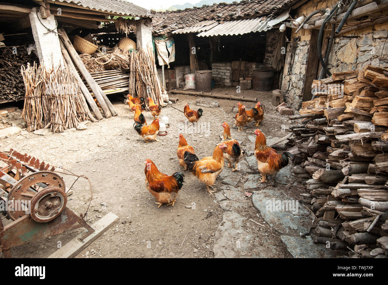 Farmhouse in rural China Stock Photo - Alamy