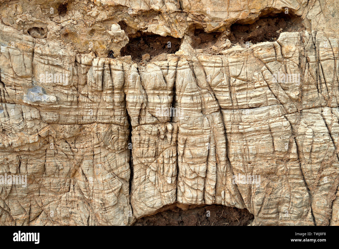 Natural rough tex hi-res stock photography and images - Alamy
