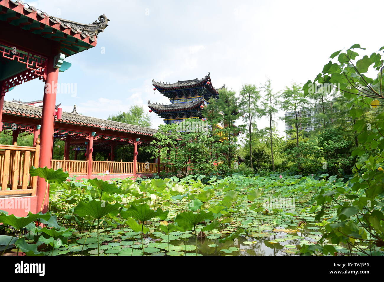 Antique architecture and lotus pavilion lotus Stock Photo - Alamy