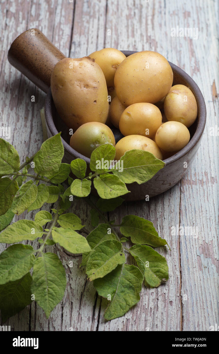 Organic potato material Stock Photo - Alamy
