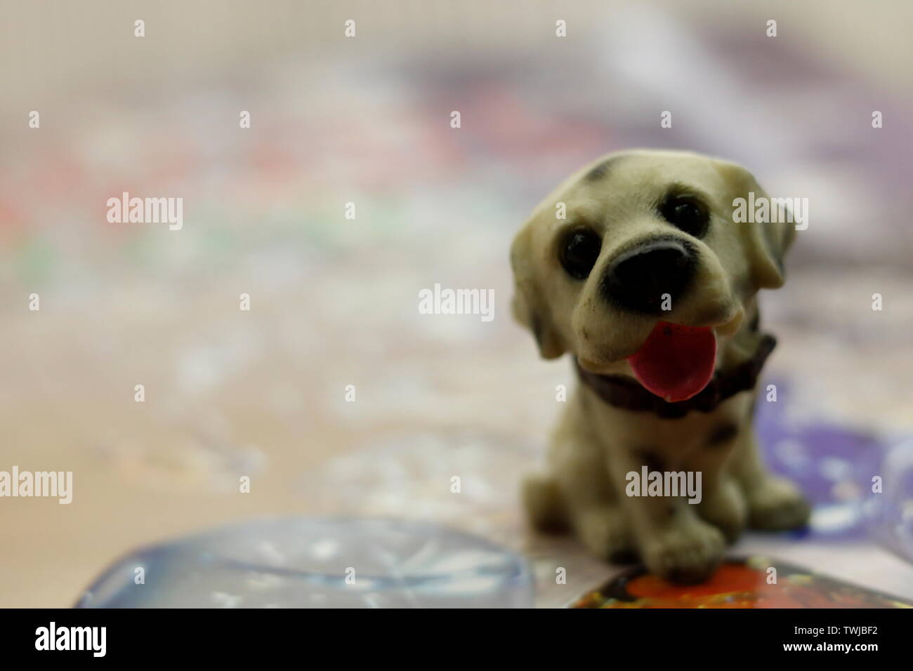 Still life with dog hi-res stock photography and images - Alamy