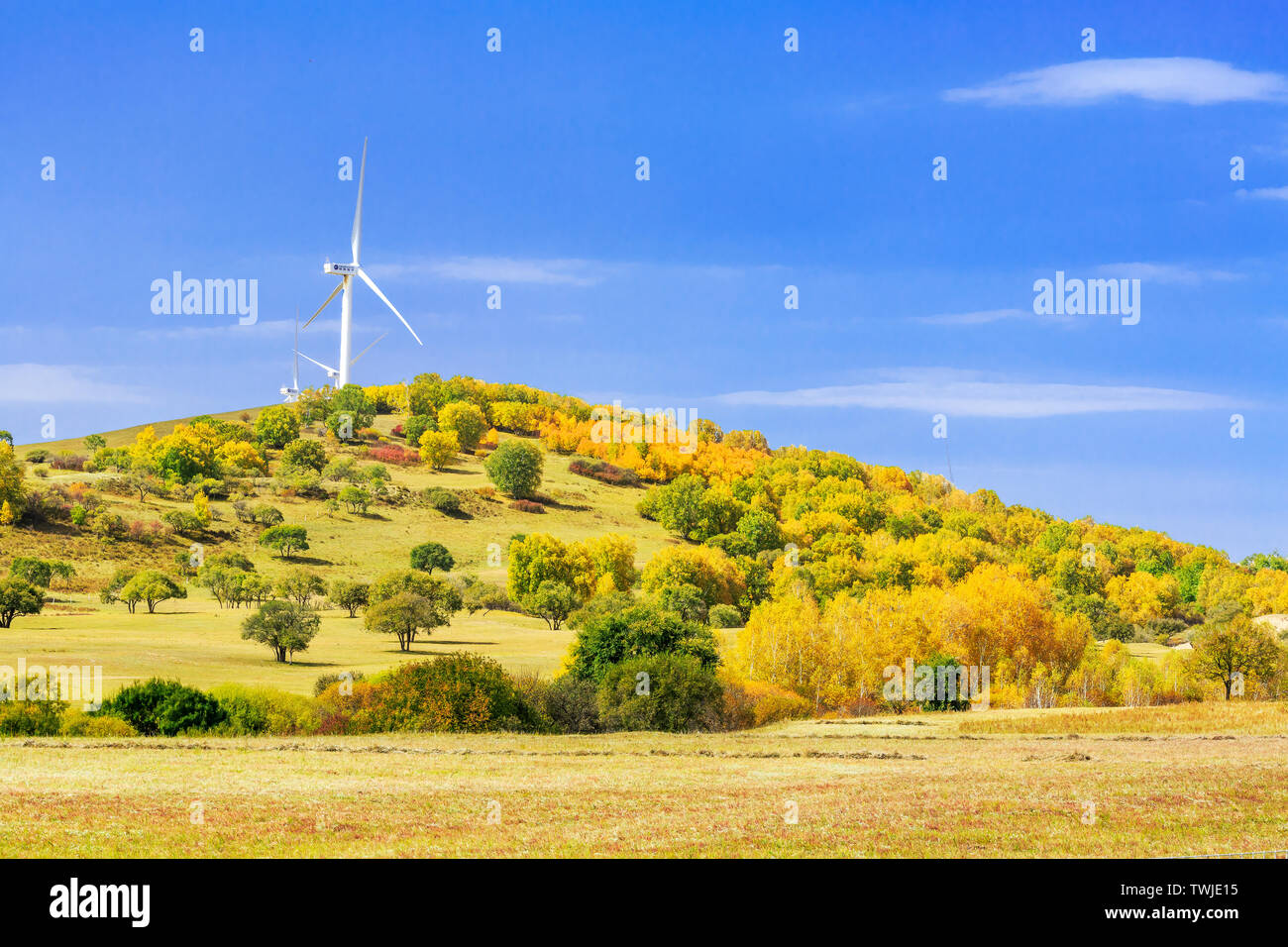 Autumn colors on the paddock dam Stock Photo - Alamy
