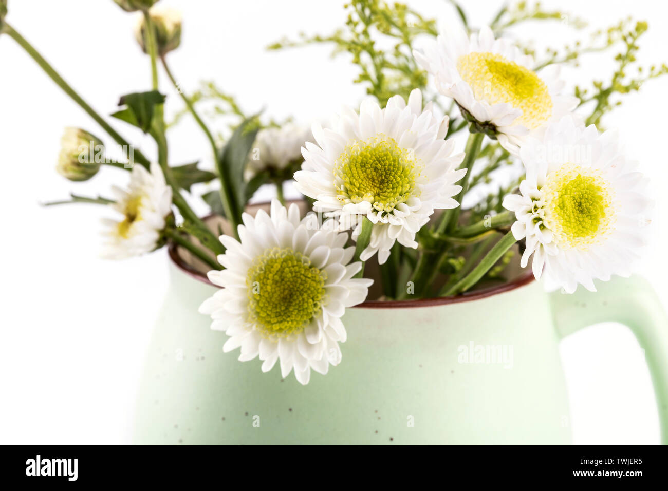 Potted daisies hi-res stock photography and images - Alamy
