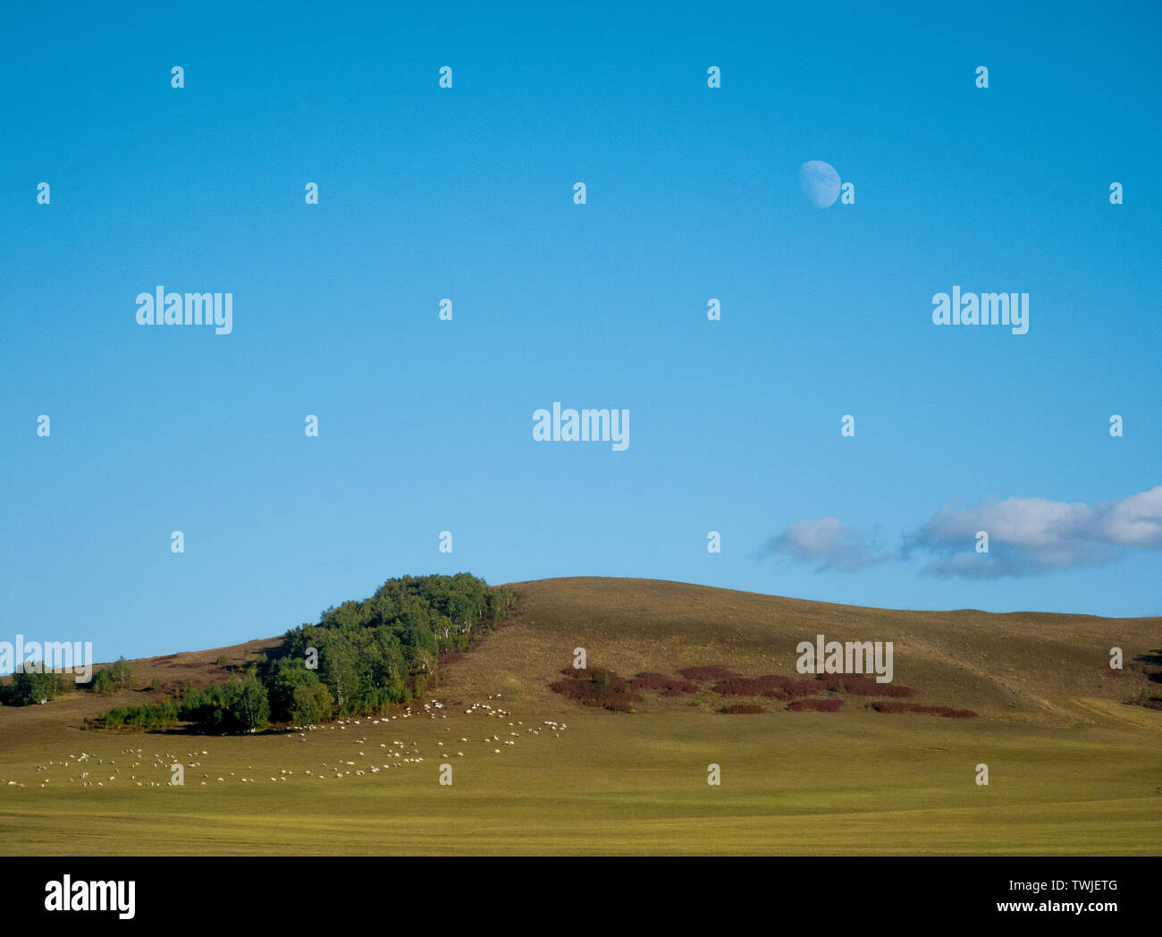 Moonrise photographed on the paddock dam in September 2010 Stock Photo ...
