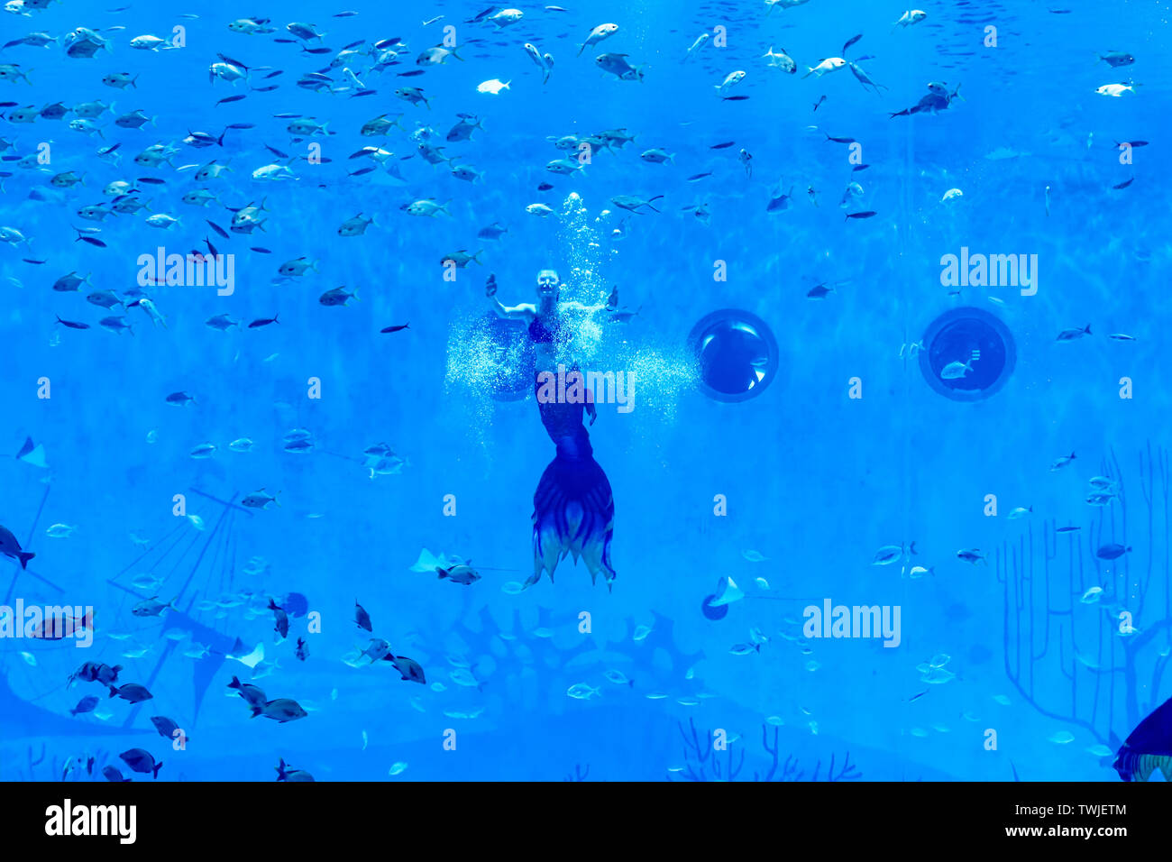 Mermaid performance at Haichang Ocean Park, Shanghai Stock Photo - Alamy