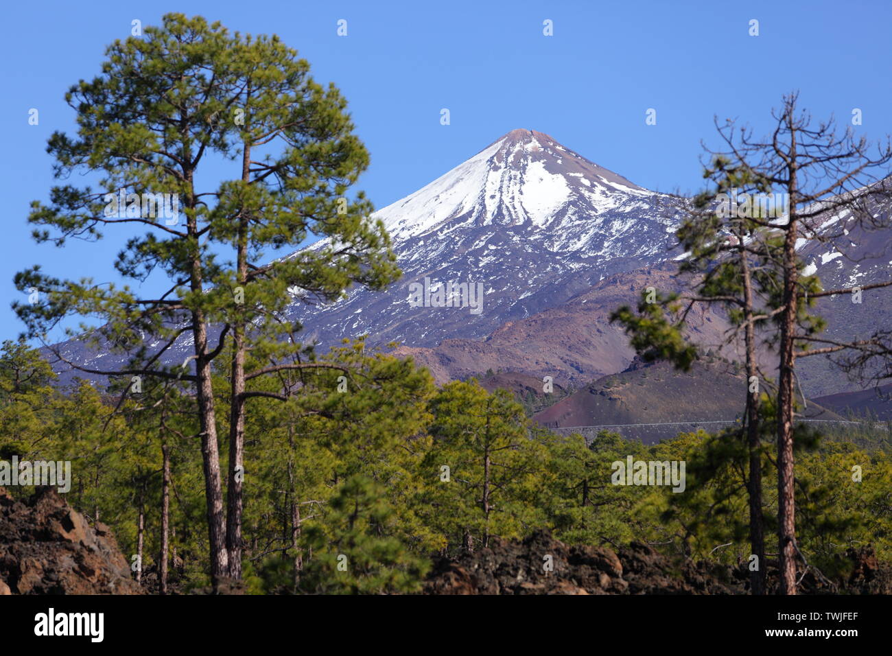 Tenerife - Teide volcano landscape. Beautiful nature scenery from Teide ...