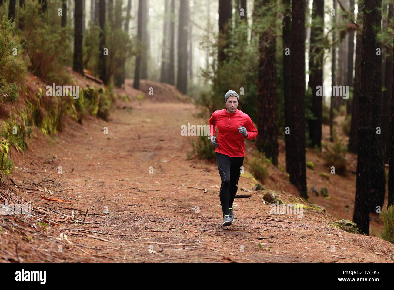 Man running in forest woods training and exercising for trail run ...
