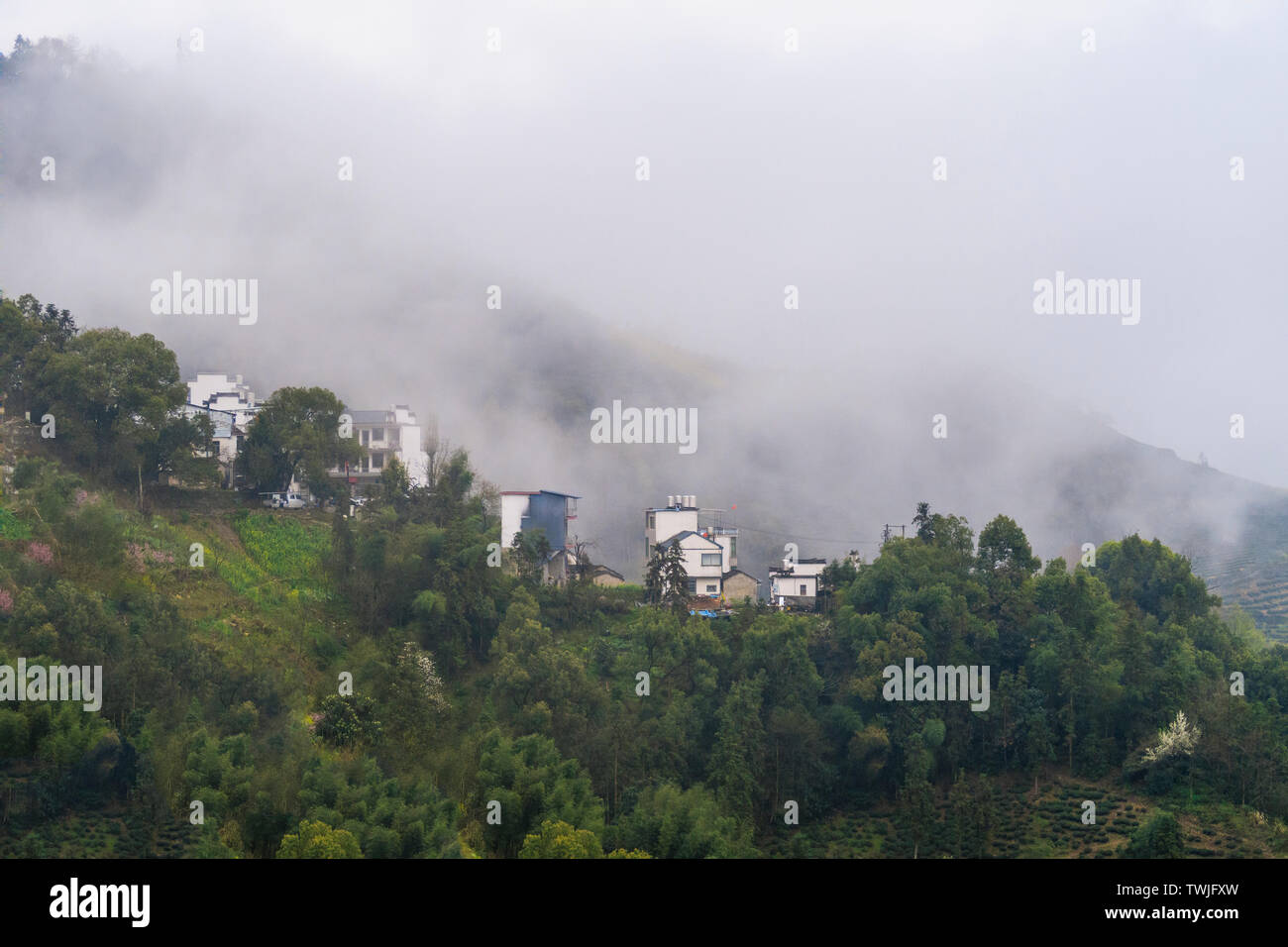 Shitan spring color Stock Photo - Alamy