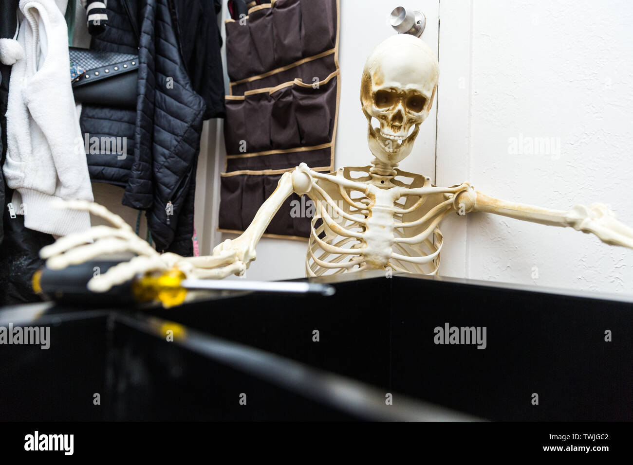 Anatomical wooden figure hi-res stock photography and images - Alamy