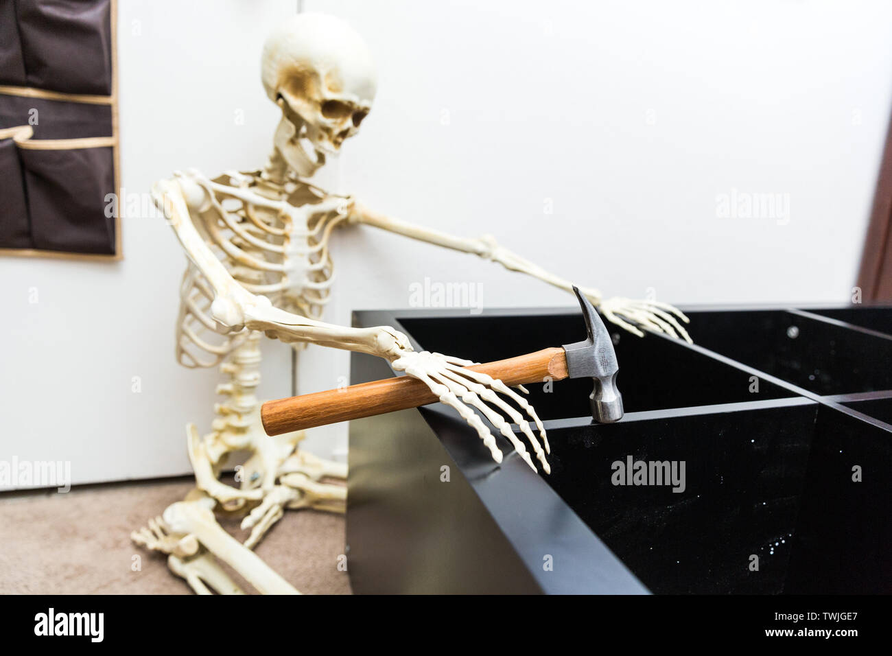 Anatomical wooden figure hi-res stock photography and images - Alamy