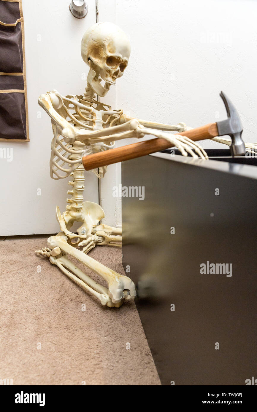 Anatomical wooden figure hi-res stock photography and images - Alamy