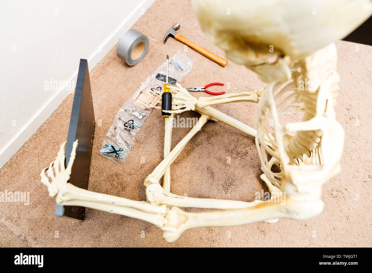 Anatomical wooden figure hi-res stock photography and images - Alamy