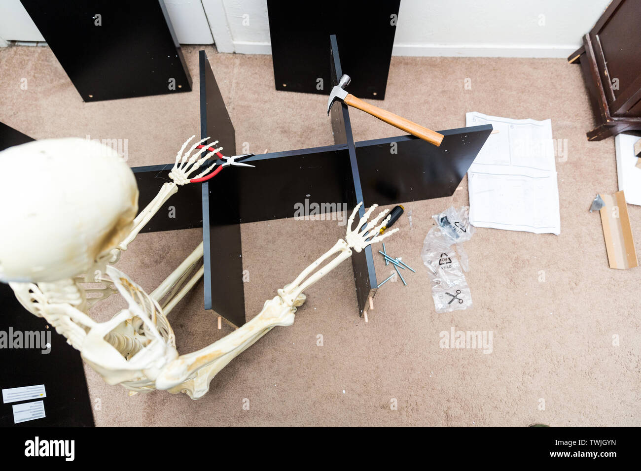 Bony skeleton assembling a black wooden shelf Stock Photo - Alamy