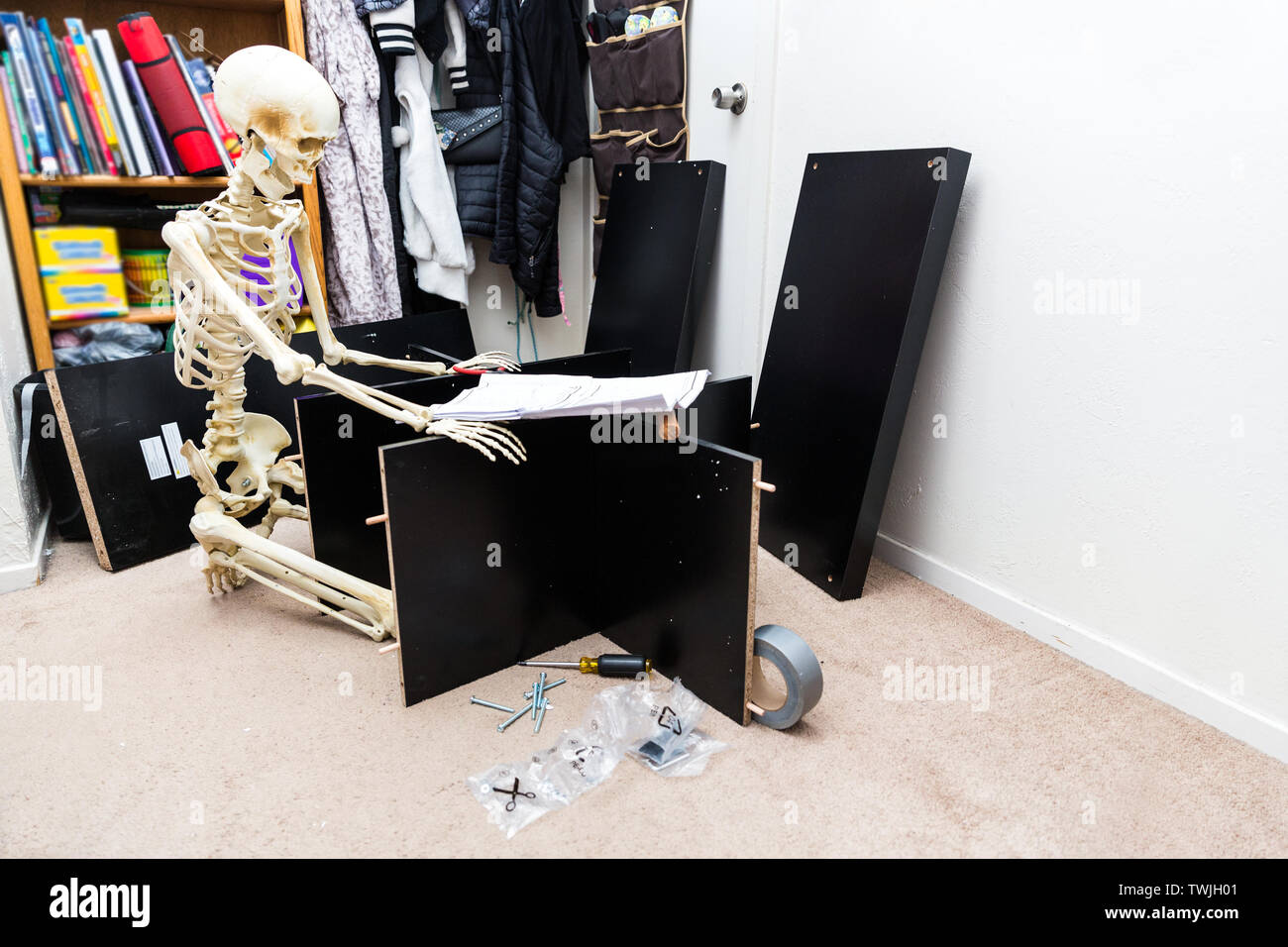 Bony skeleton assembling a black wooden shelf Stock Photo - Alamy