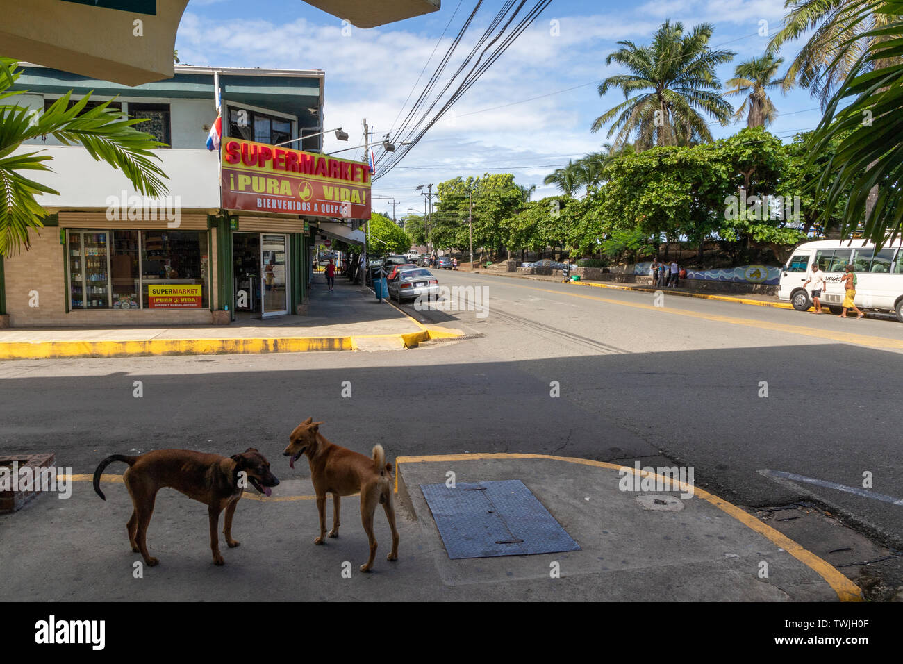 Quepos is a small booming harbor town in Costa Rica famous for being ...