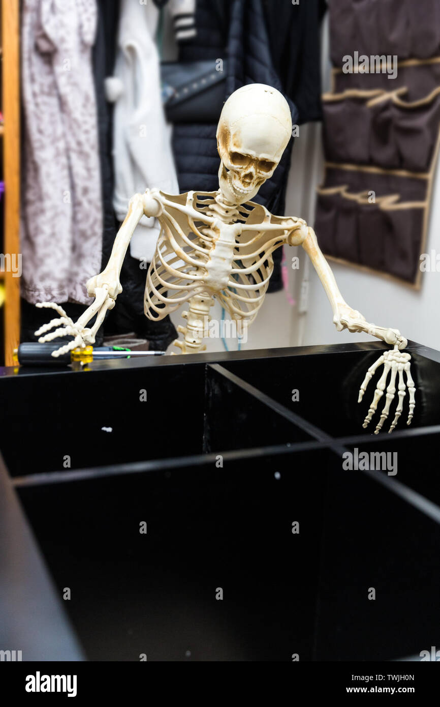 Anatomical wooden figure hi-res stock photography and images - Alamy