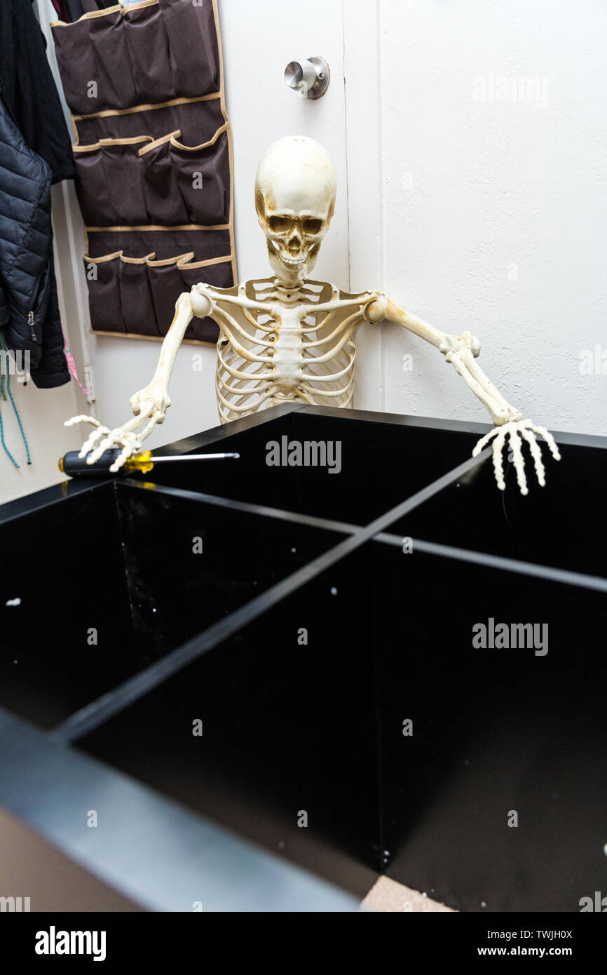 Anatomical wooden figure hi-res stock photography and images - Alamy