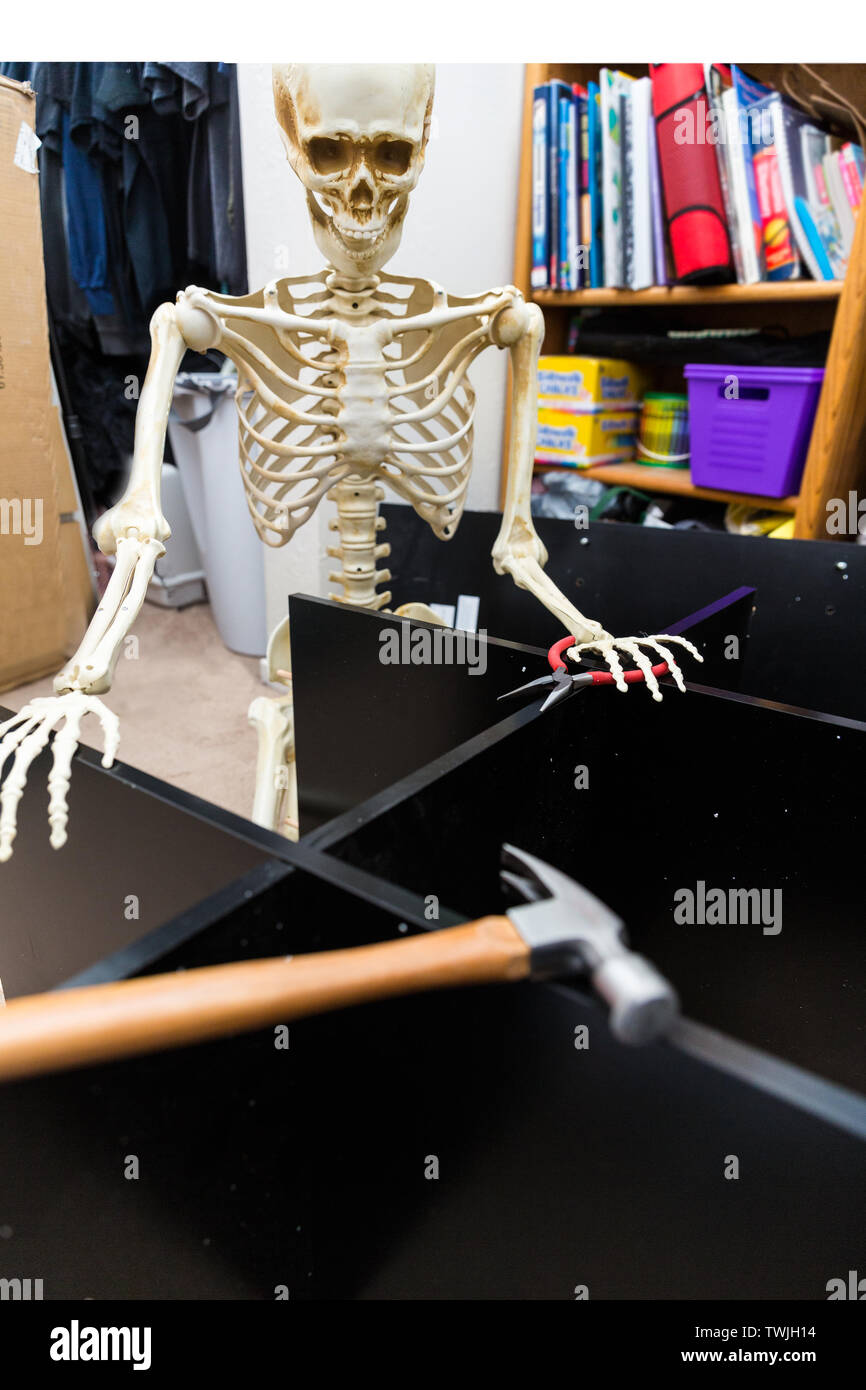 Anatomical wooden figure hi-res stock photography and images - Alamy