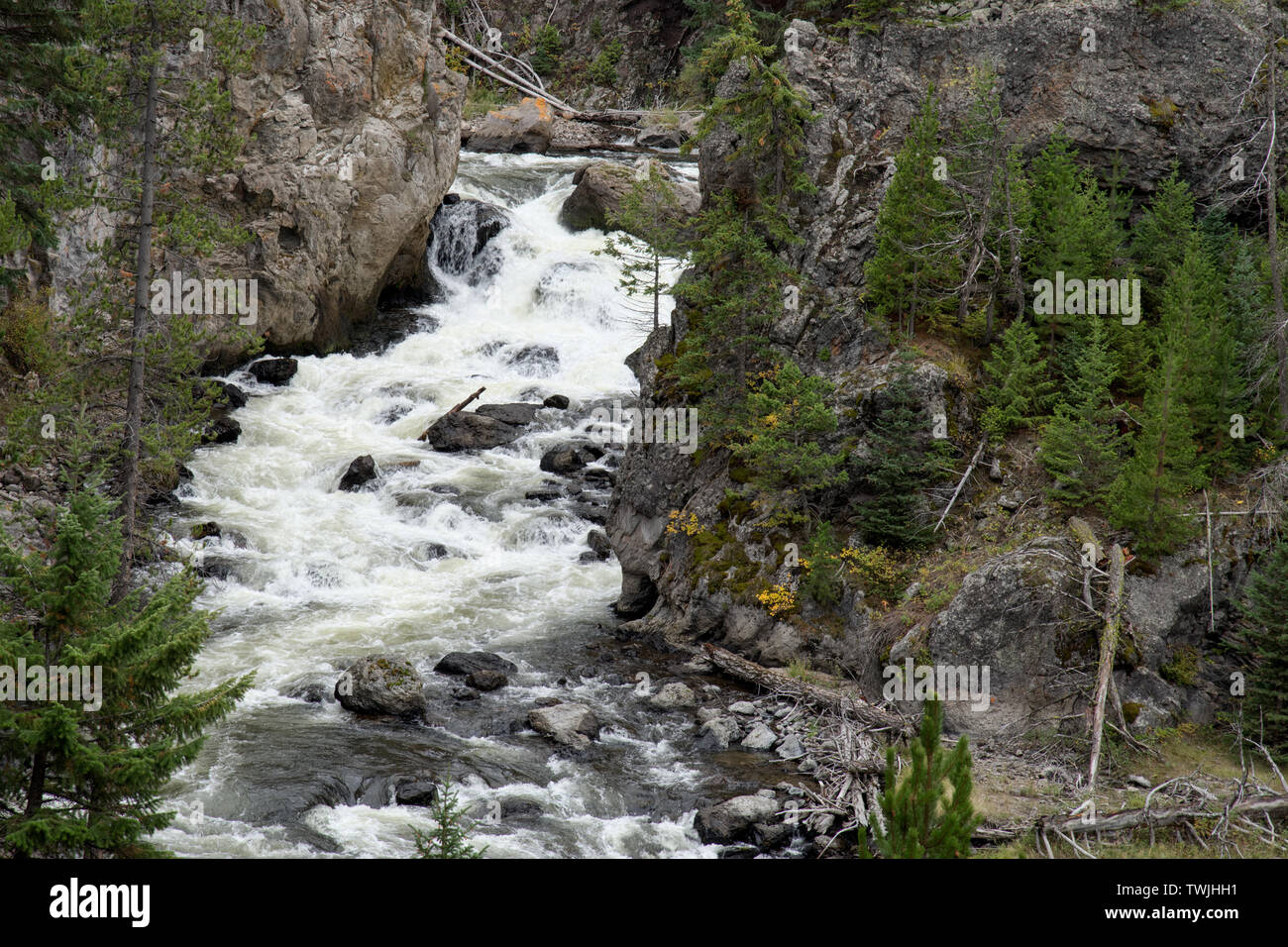 Gibbon river hi-res stock photography and images - Alamy