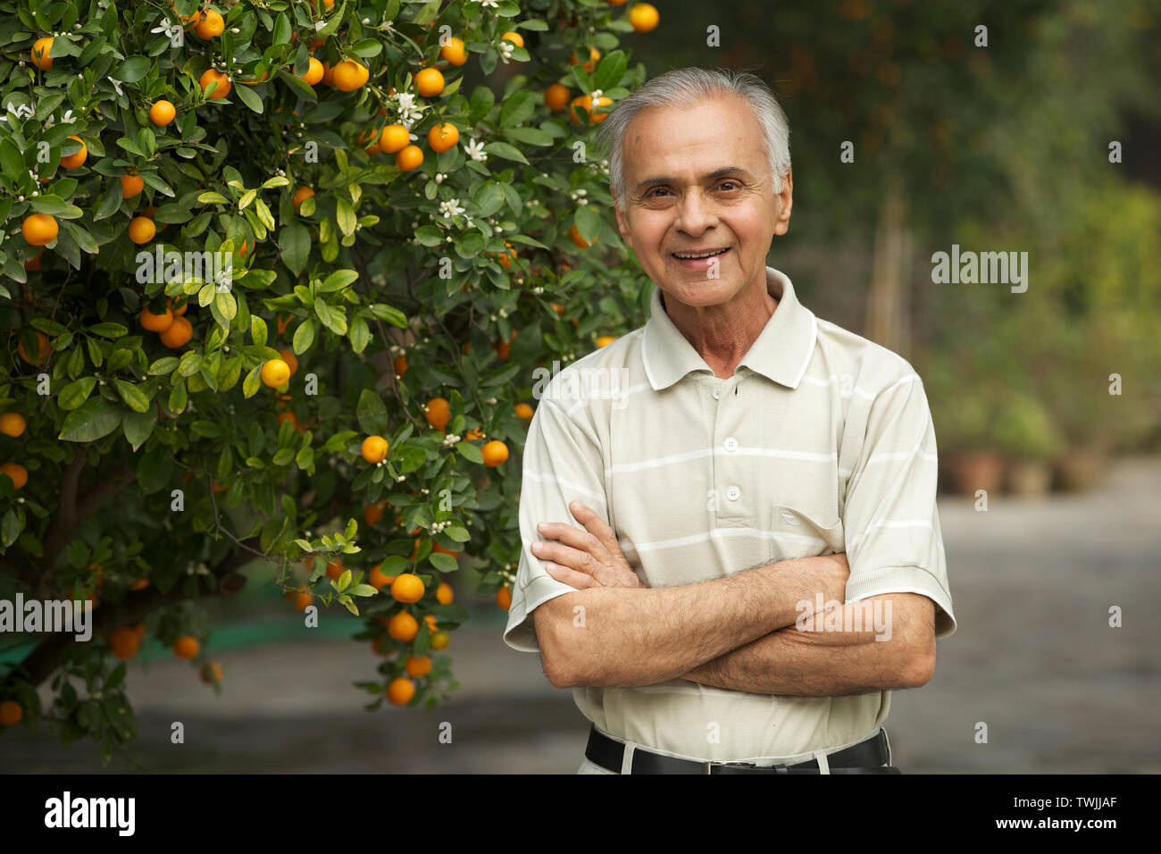 Portrait of an old man smiling with his arms crossed Stock Photo - Alamy