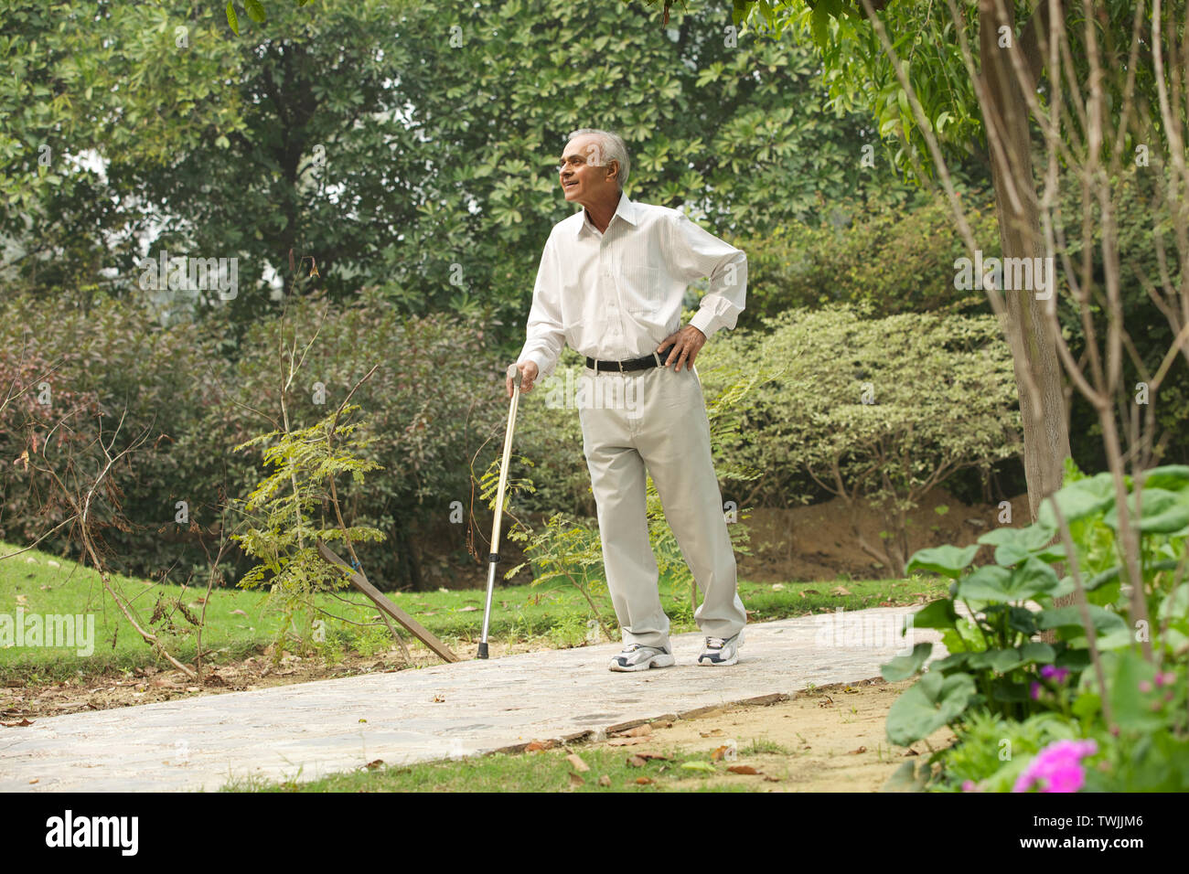Old man walking with a cane Stock Photo - Alamy