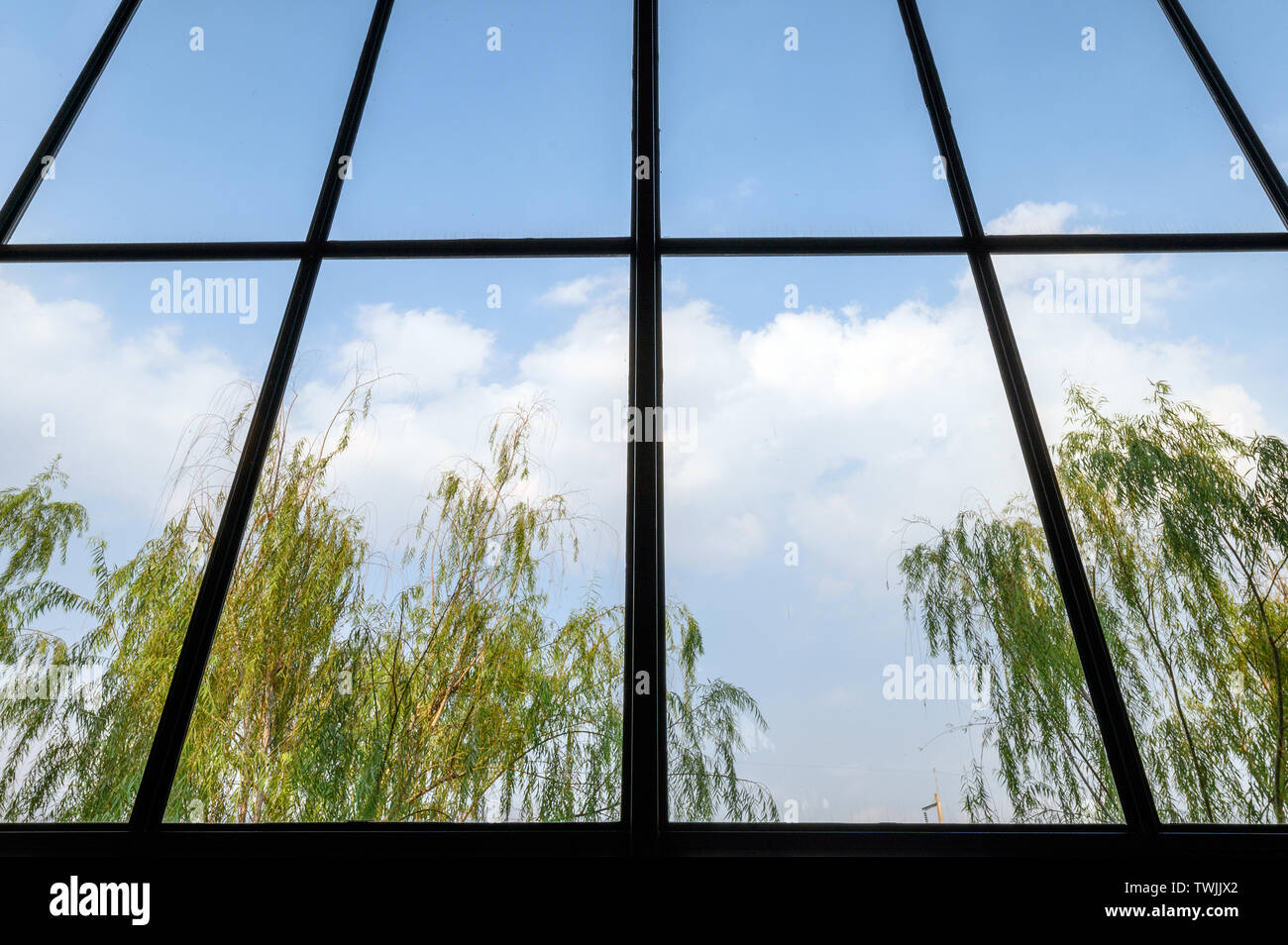 Transparent high windows design with green tree and blue sky Stock ...