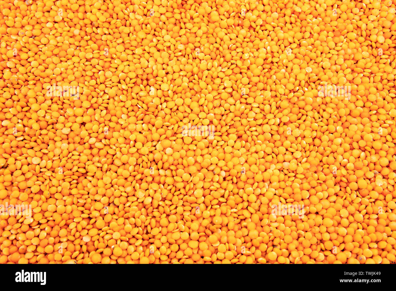 Orange lentils close up. Lentils pattern as background Stock Photo - Alamy