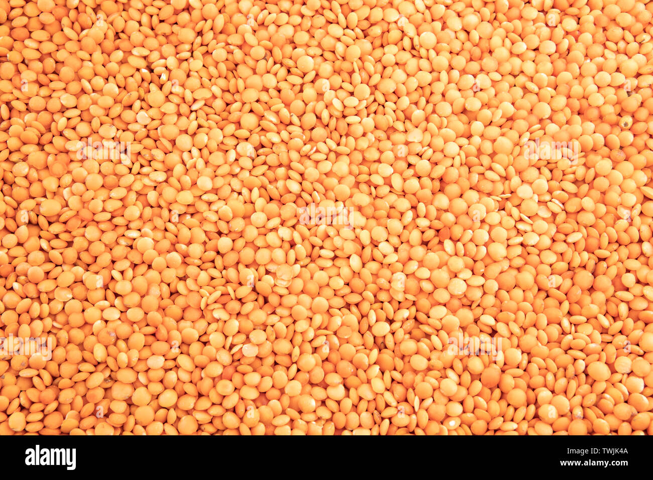 Orange lentils close up. Lentils pattern as background Stock Photo - Alamy
