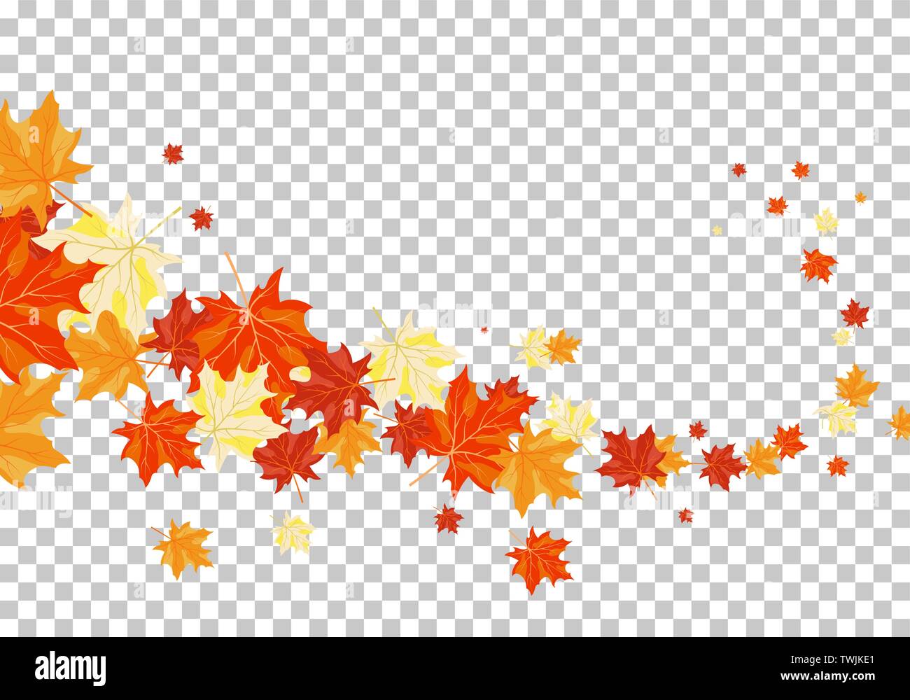 Falling maple leaves with transparency grid on back. Vector ...