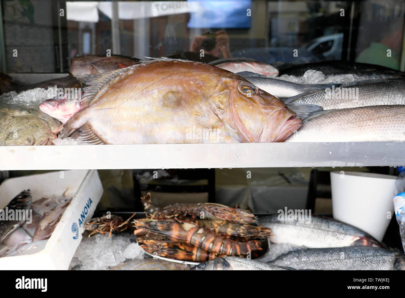 Portuguese fish hi-res stock photography and images - Alamy