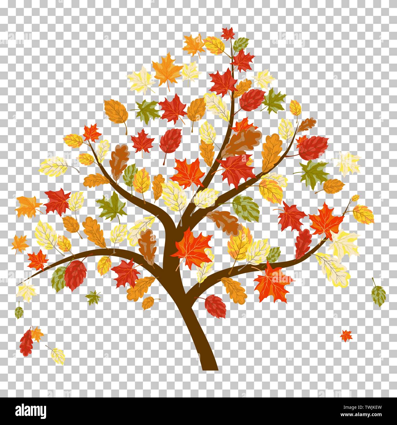 Falling maple leaves with transparency grid on back. Vector ...