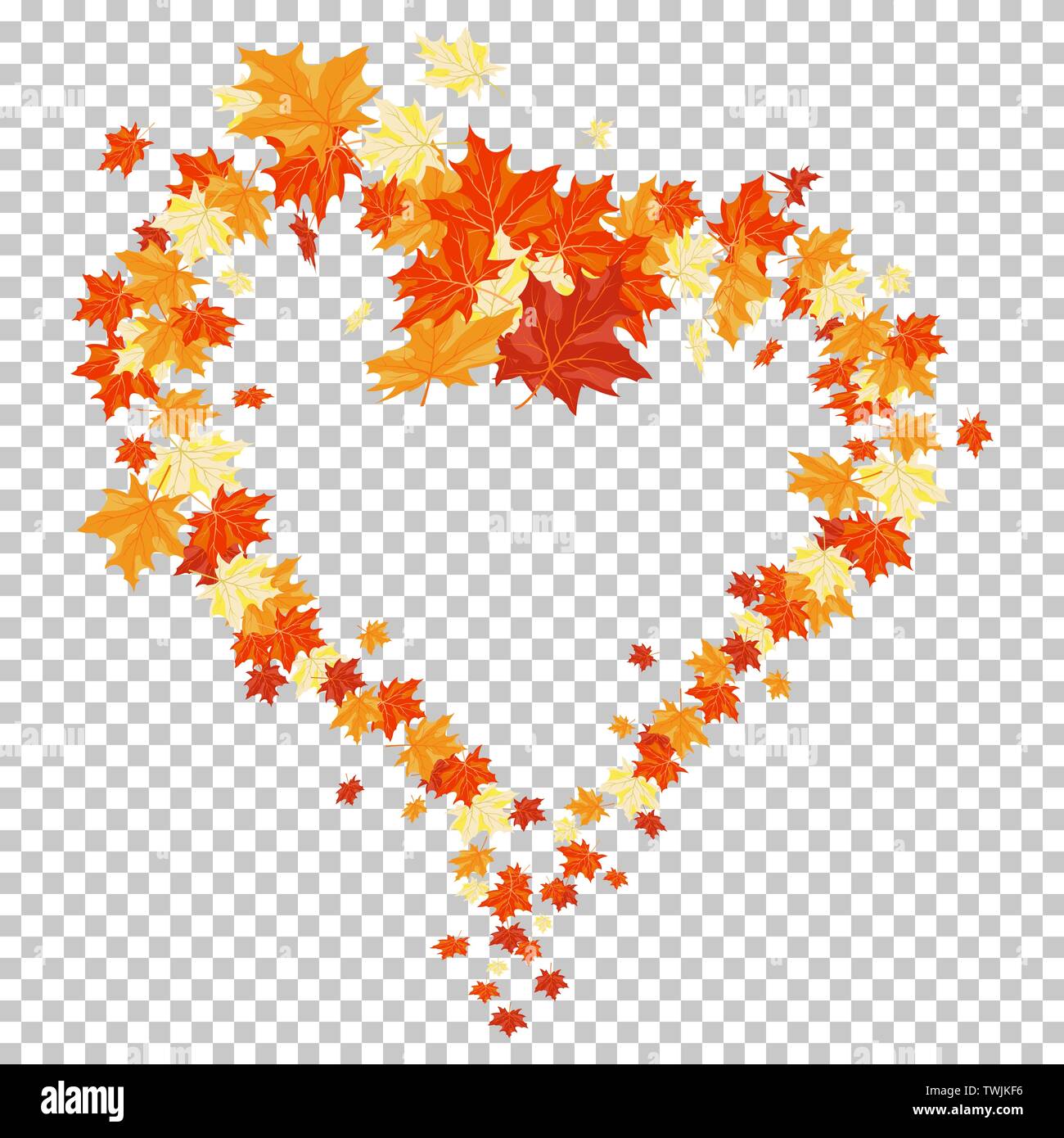 Falling maple leaves with transparency grid on back. Vector ...