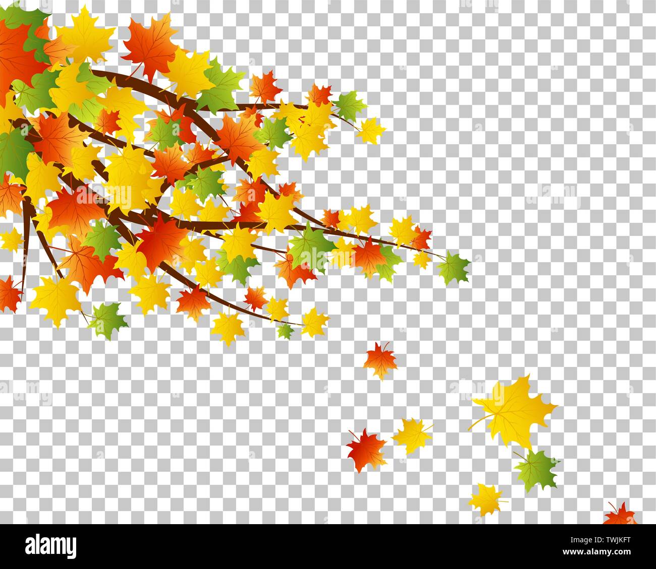 Falling maple leaves with transparency grid on back. Vector ...
