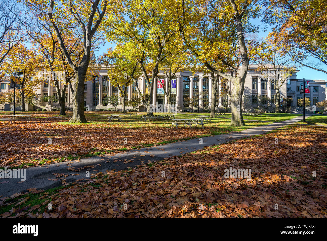 Harvard campus scenery Stock Photo - Alamy