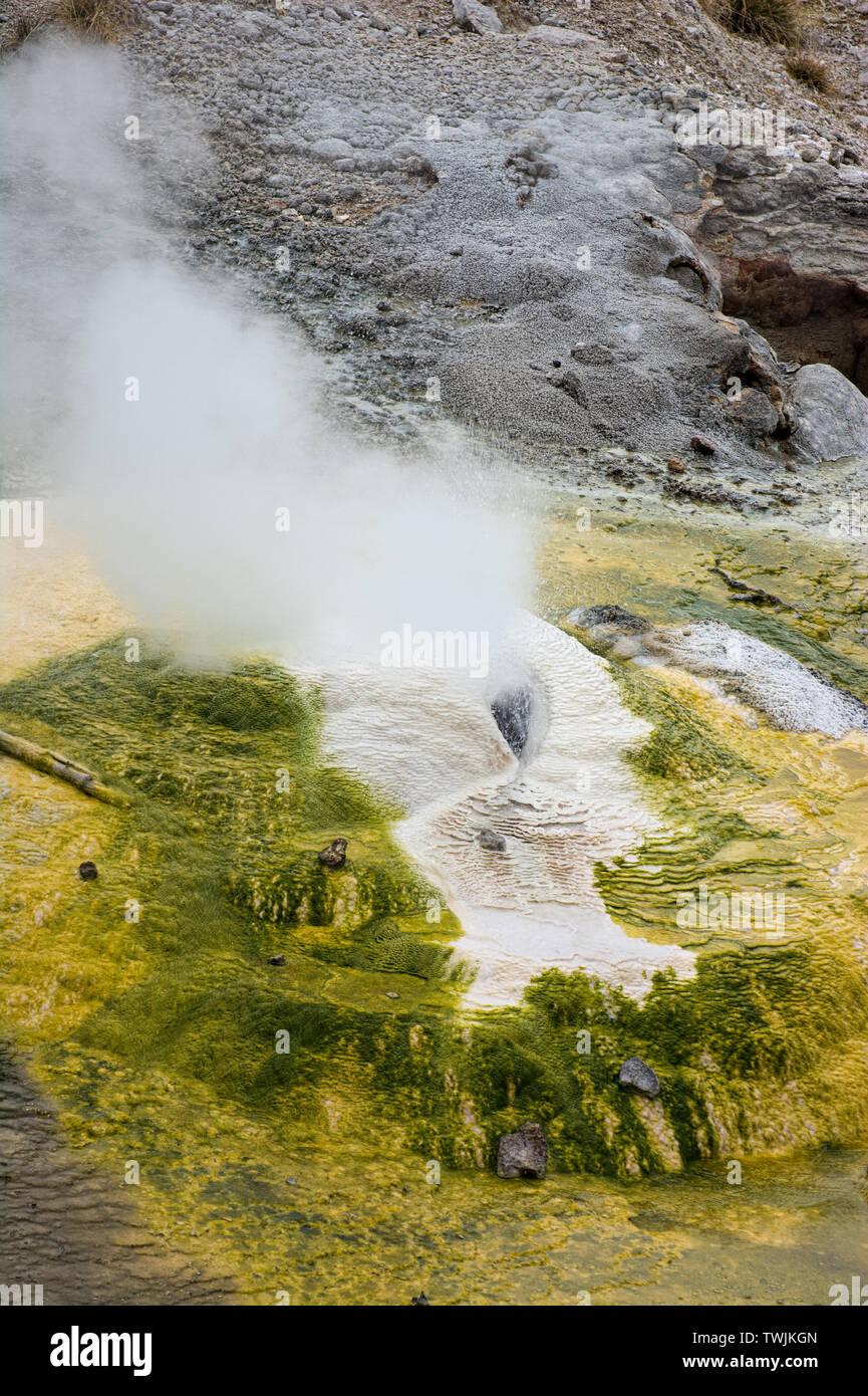 Norris Geyser Basin Stock Photo - Alamy