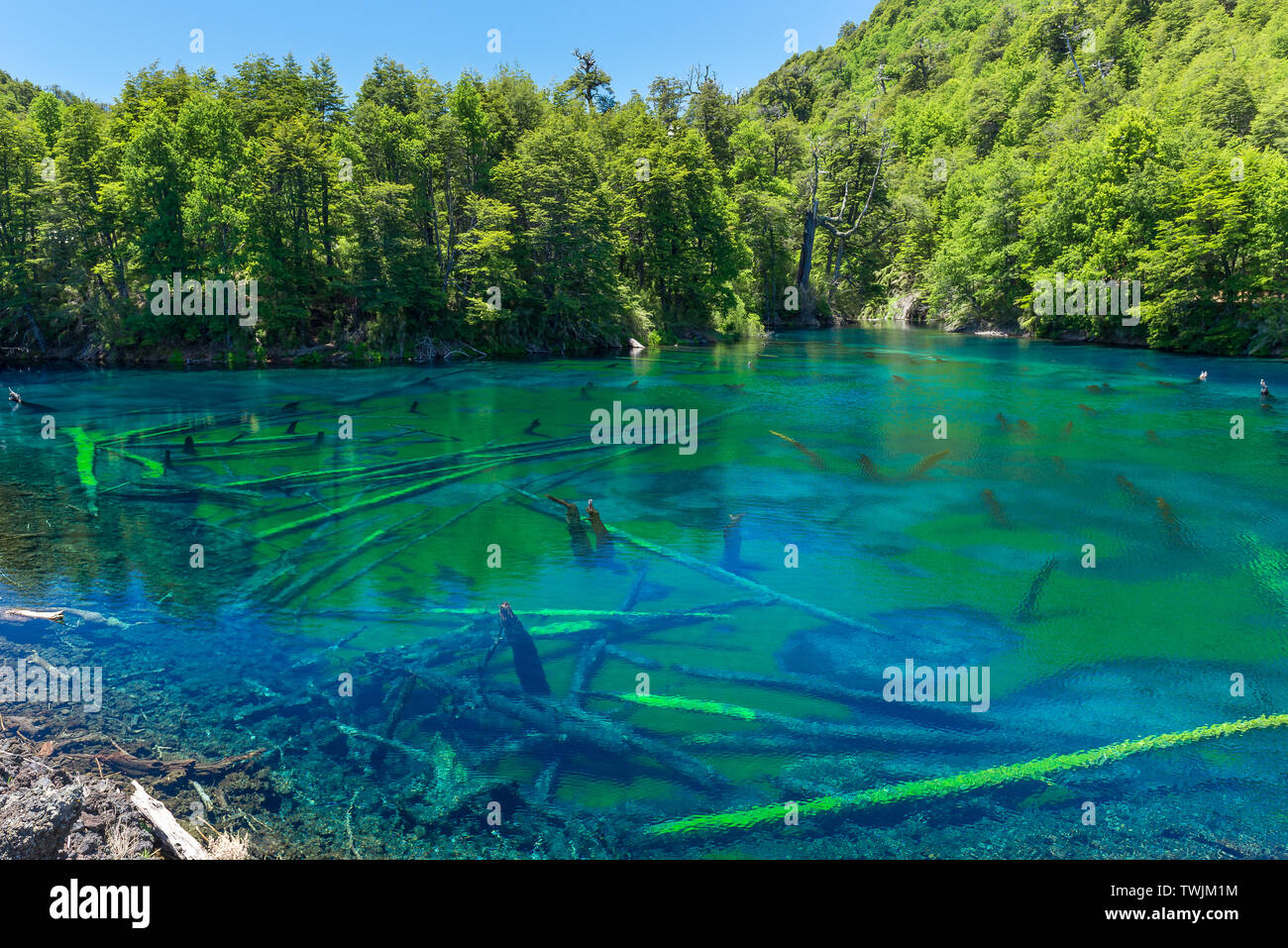 Rainbow lake in Conguillio National Park, Chile Stock Photo - Alamy