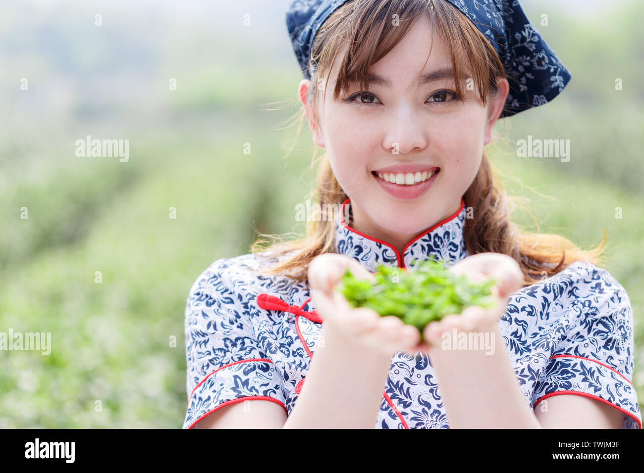 Asian beautiful tea girl in photography Stock Photo - Alamy
