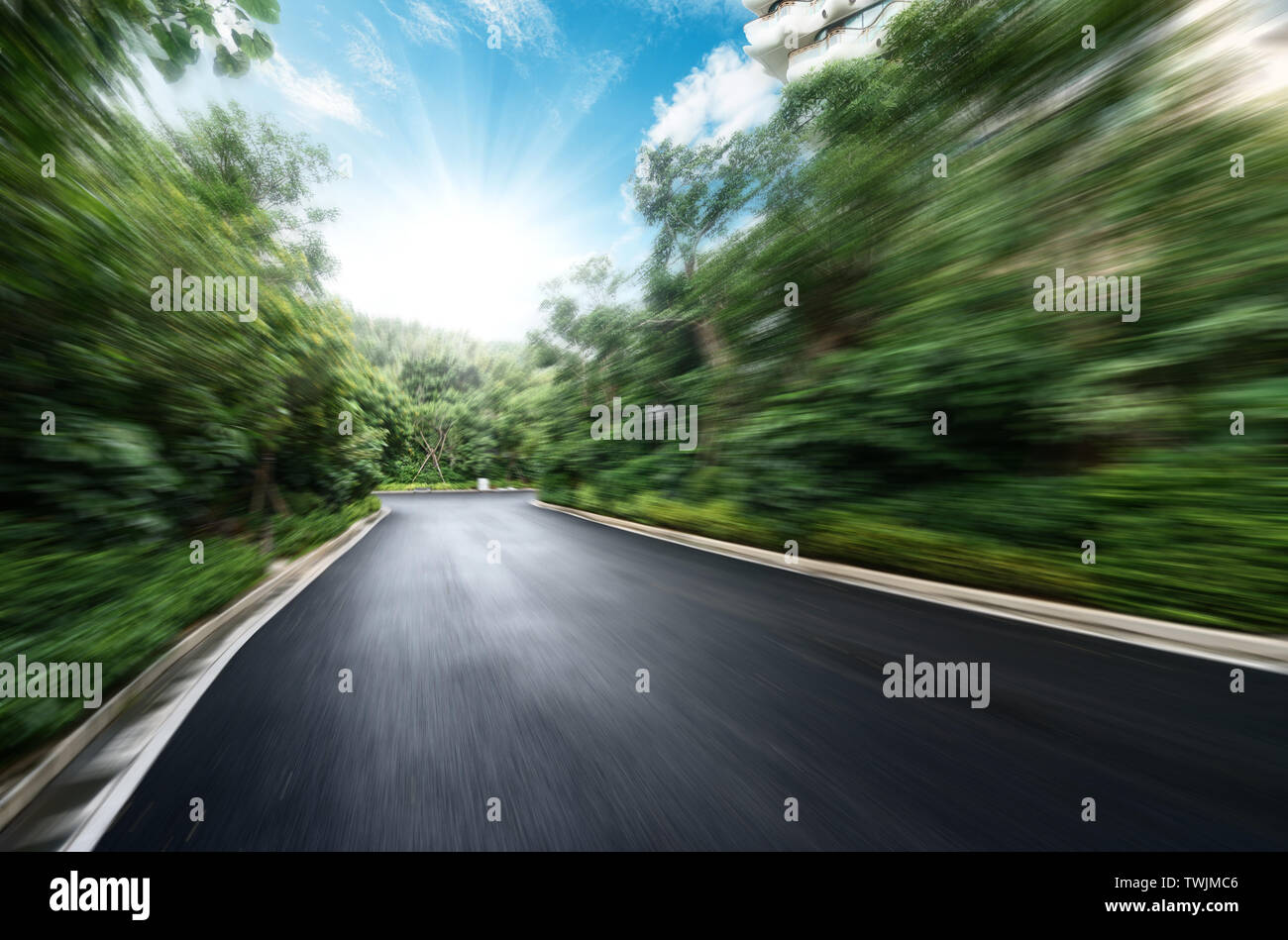 empty road through trees to modern building Stock Photo - Alamy