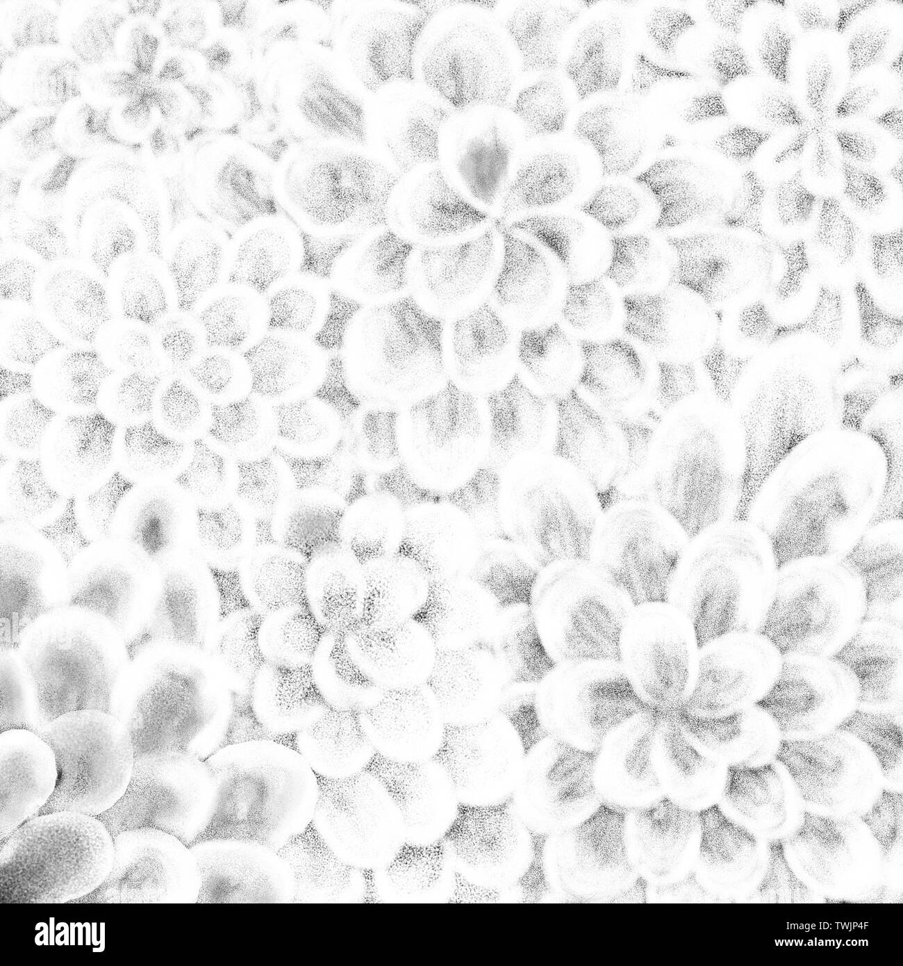 Description color Black and White Stock Photos & Images - Alamy