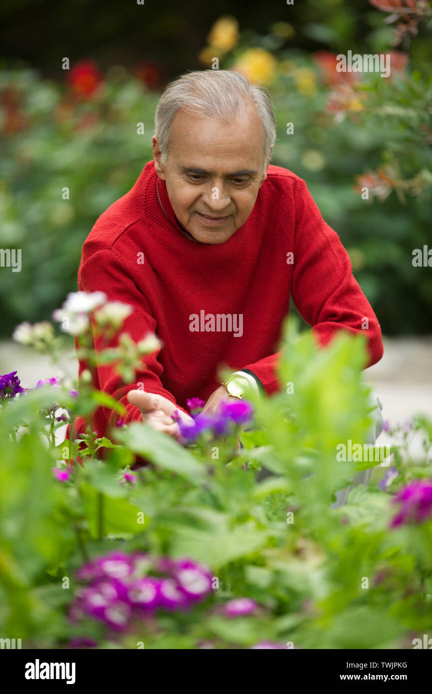 Gardener flowers in hair man hi-res stock photography and images - Alamy