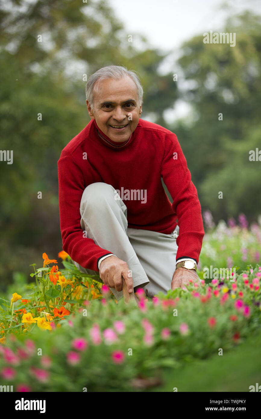 Old man gardening Stock Photo - Alamy