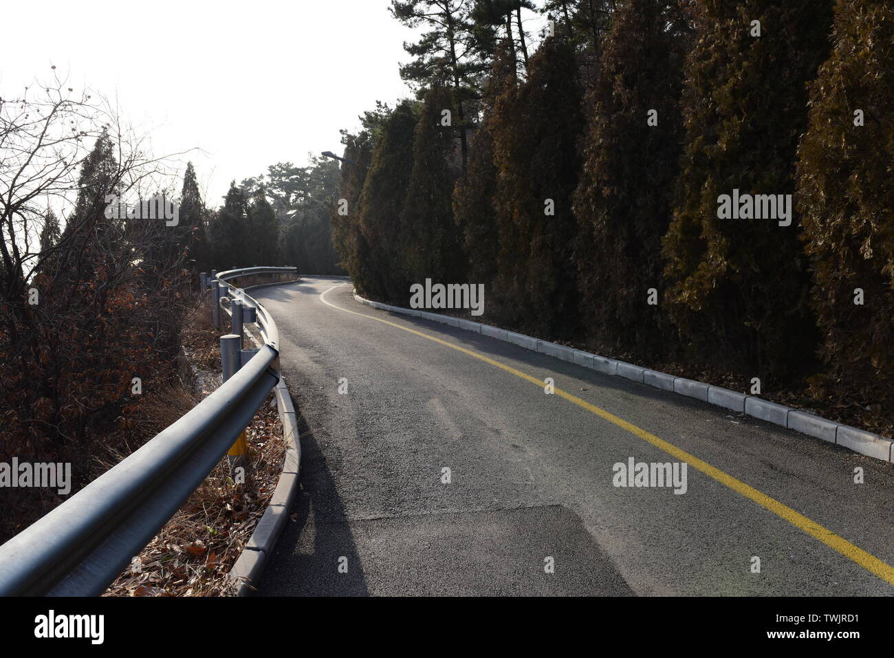 Road No Man Transportation System, Expressway, Asphalt Guide, Tree ...