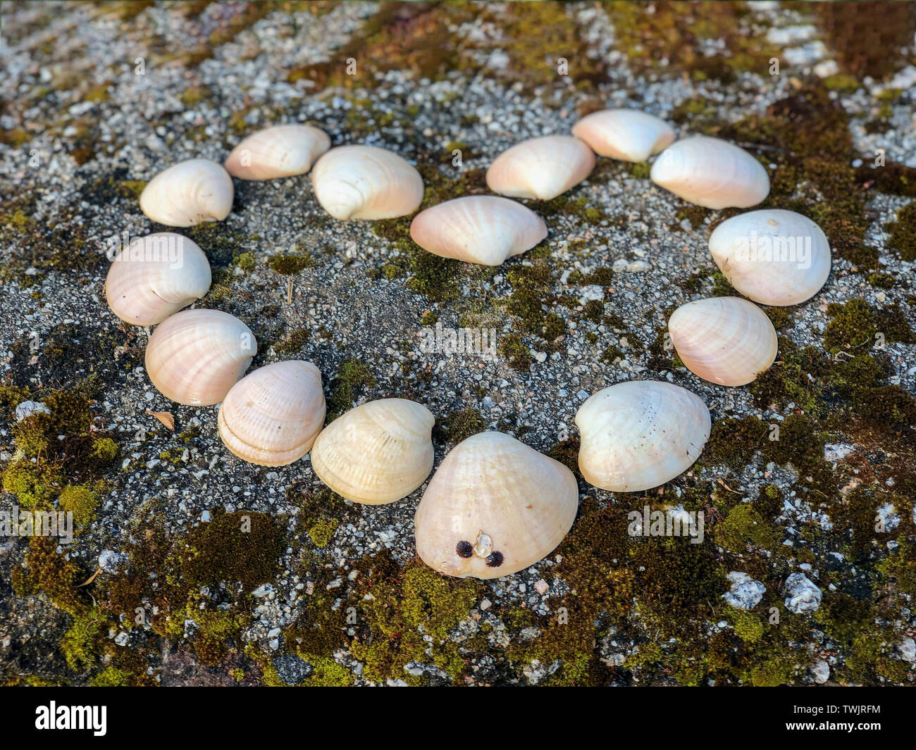 Heart shape from marine shells on natural ground. Romantic symbol ...