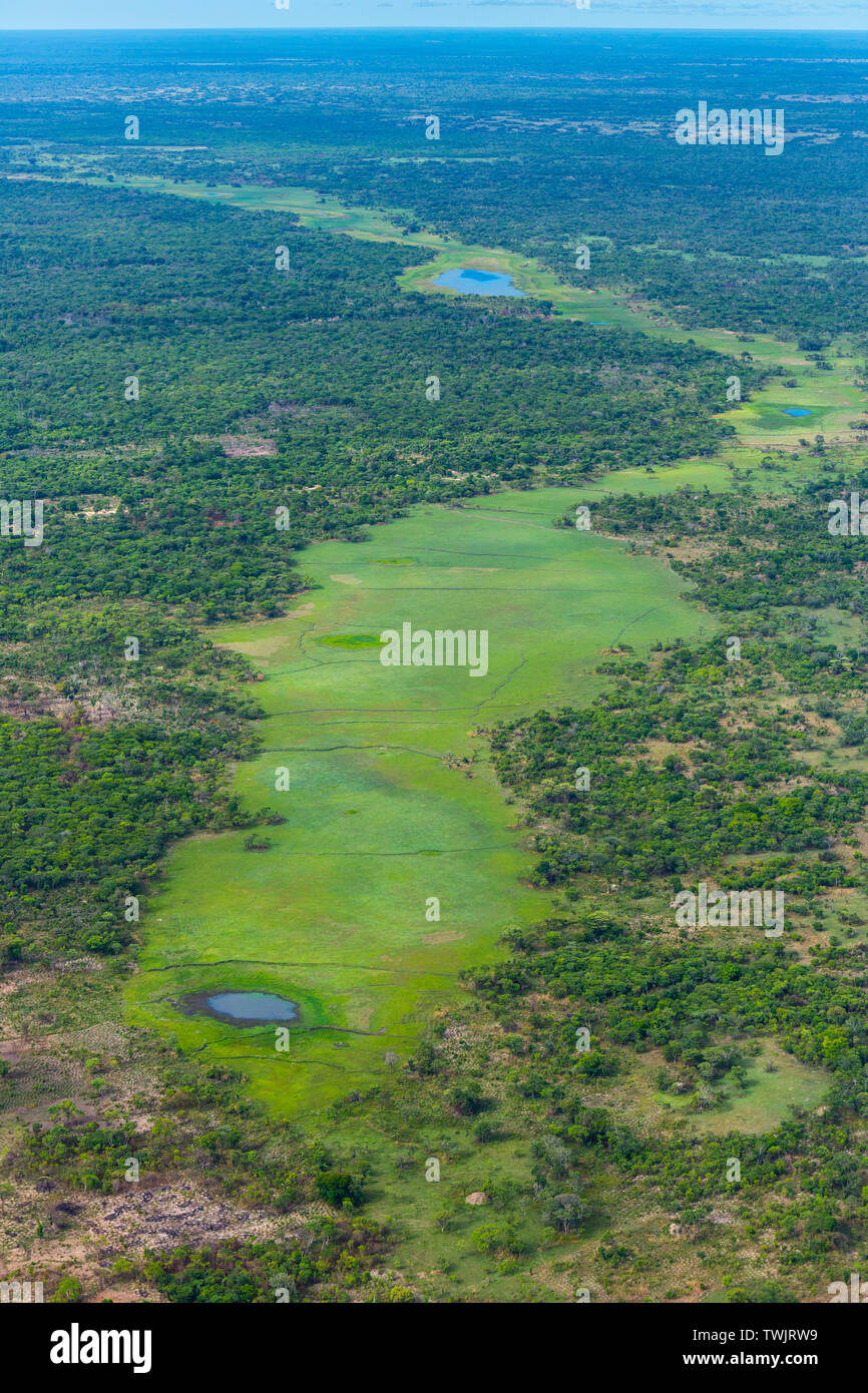 Kasanka National Park, Serenje, Provincia central, Zambia, Africa Stock ...