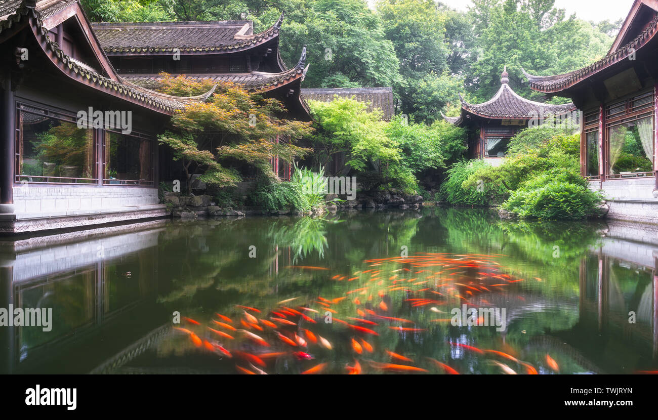Scenery of the fish viewing spot in Huagang, Hangzhou, Zhejiang Stock ...