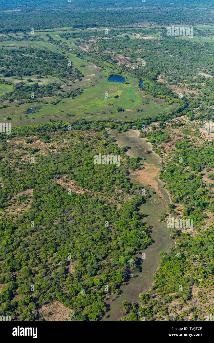 Kasanka National Park, Serenje, Provincia central, Zambia, Africa Stock ...