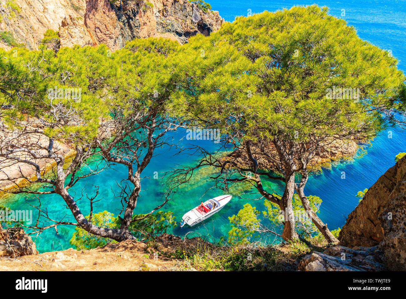 White motorboat in beautiful sea cove of Cala Marquesa with green pine ...