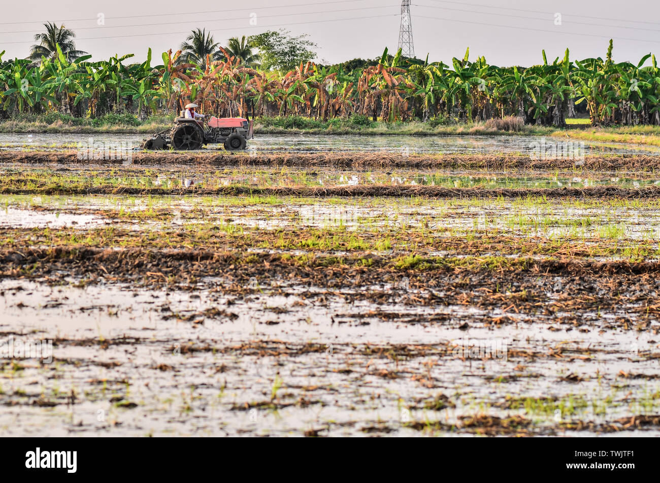 Farmers plowing with tractor Stock Photo - Alamy