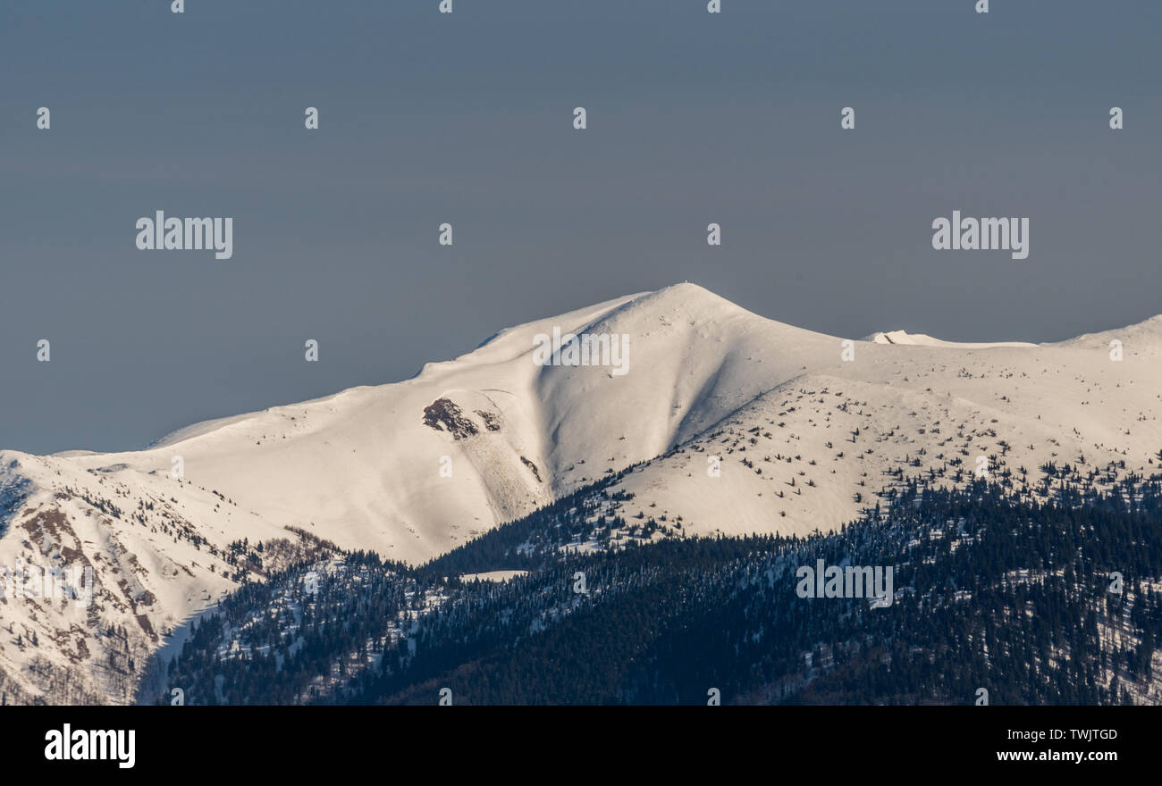 Maly Krivan from Velka luka hill in winter Mala Fatra mountains in ...