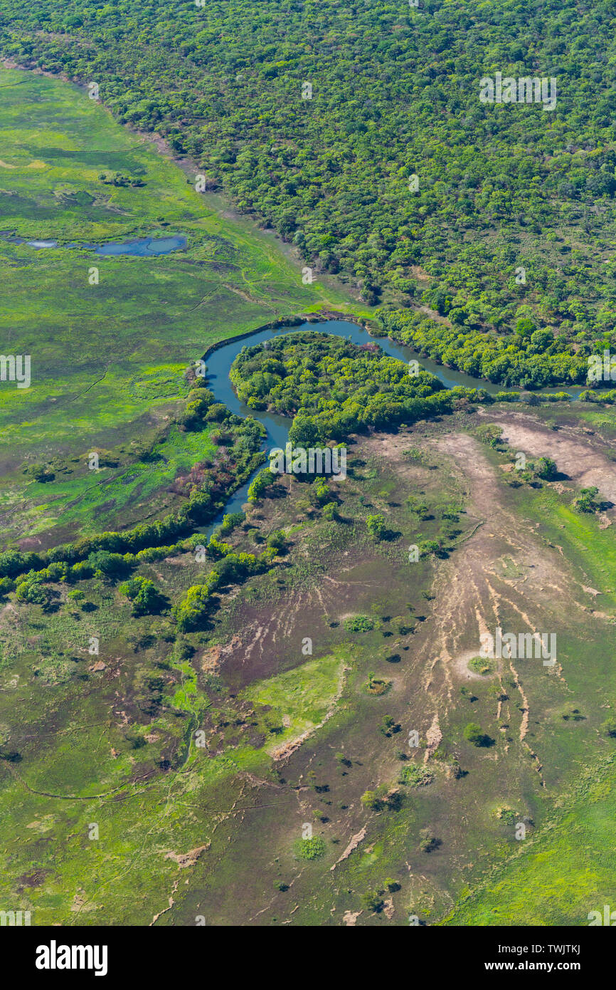Kasanka National Park, Serenje, Provincia central, Zambia, Africa Stock ...